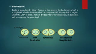 Lec .. Characteristics of bacteria (2).pptx