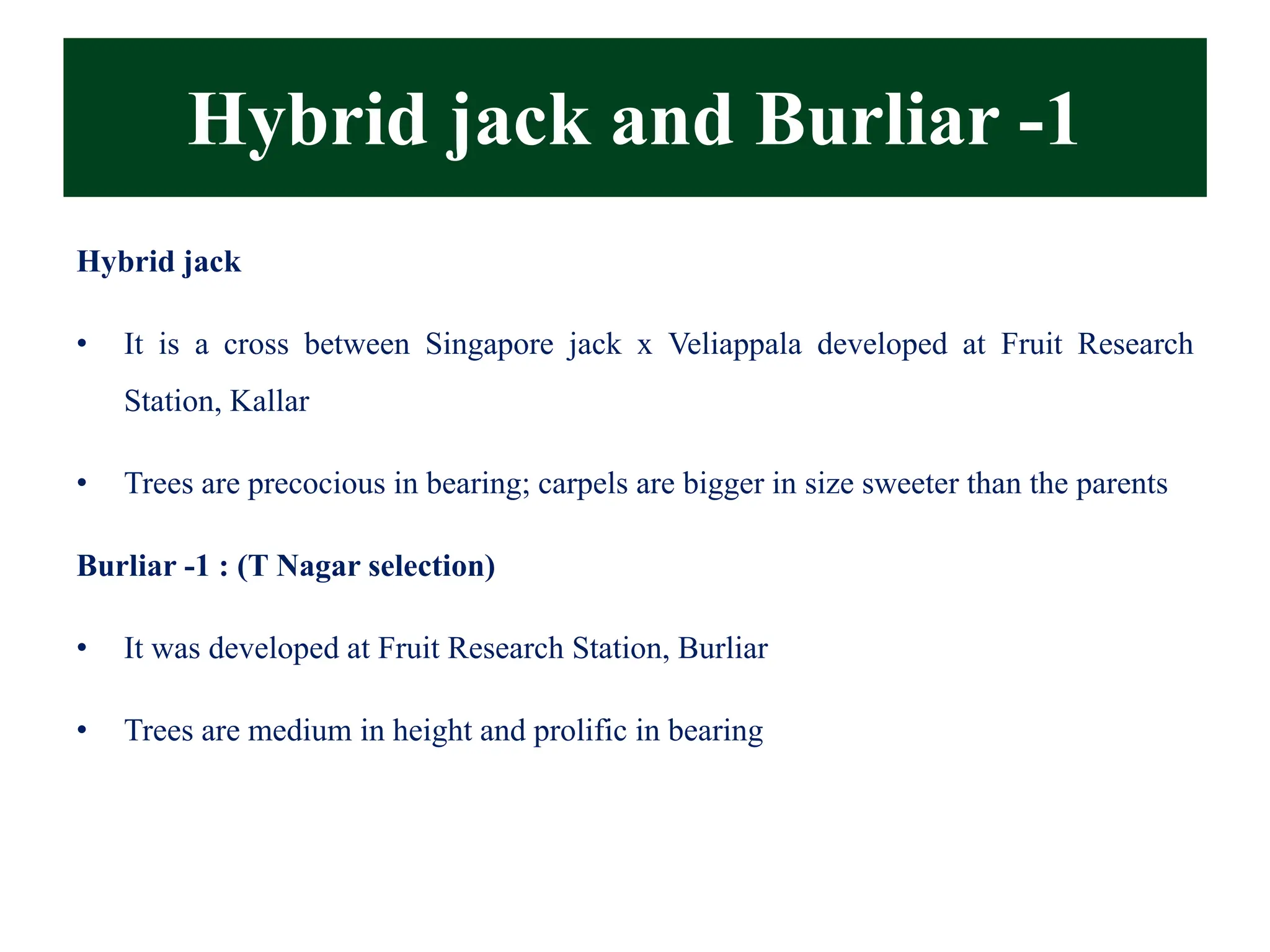 Production technology of Jack Fruit (Artocarpus heterophyllus) | PDF