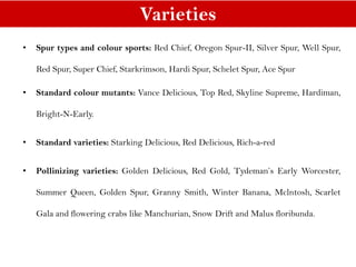 Production Technology of Apple (Malus domestica) | PDF