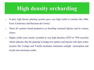 Production technology of Pear (Pyrus communis) | PDF