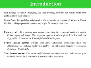 Production technology of Pear (Pyrus communis) | PDF