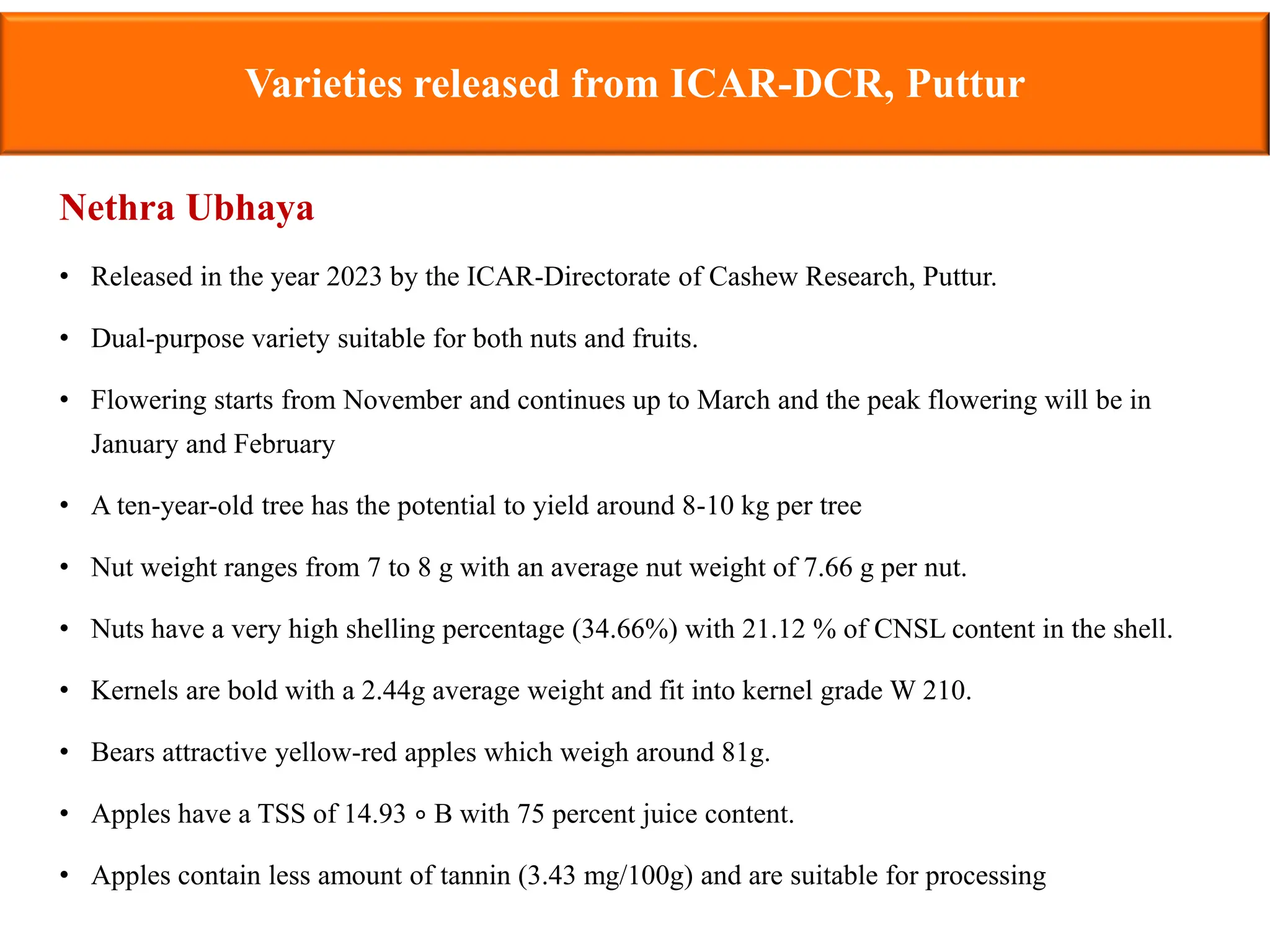 Production Technology of Cashew (Anacardium occidentale L.) | PDF