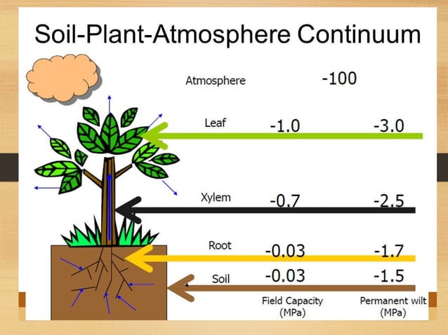 Lec.No. 7.Soil Plant Atmospheric Continum.pptx | Agriculture | Industries