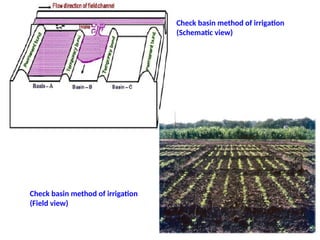 Surface Irrigation methods.Lec.No. 14.pptxLec.No. 12.pptx