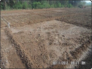 Surface Irrigation Methods Lec No 14 Pptxlec No 12 Pptx