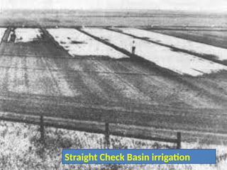Surface Irrigation methods.Lec.No. 14.pptxLec.No. 12.pptx