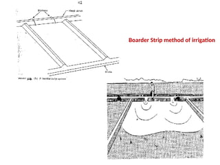 Surface Irrigation methods.Lec.No. 14.pptxLec.No. 12.pptx