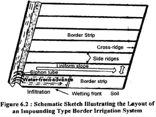 Surface Irrigation Methods Lec No 14 Pptxlec No 12 Pptx