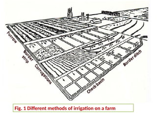 Surface Irrigation methods.Lec.No. 14.pptxLec.No. 12.pptx