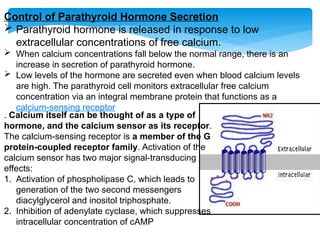 Lec.7 presentation biochemistry of hormones .pptx