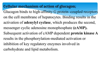 Lec.8presentation biochemistry of hormones .pptx