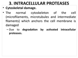 Lec.01B. Cell Injury and Death.pptx Cell Injury and Death | PPTX