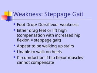 LEC.07. Gait.ppt during gait gait during gait gait | PPT