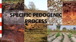 Lec.10. SPECIFIC SOIL FORMING PROCESSES.pptx