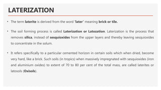 Lec.10. SPECIFIC SOIL FORMING PROCESSES.pptx