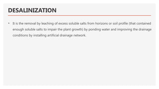 Lec.10. SPECIFIC SOIL FORMING PROCESSES.pptx