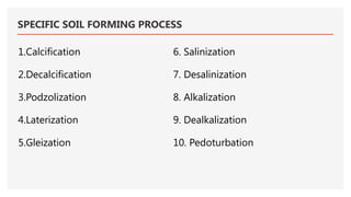 Lec.10. SPECIFIC SOIL FORMING PROCESSES.pptx