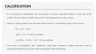 Lec.10. SPECIFIC SOIL FORMING PROCESSES.pptx