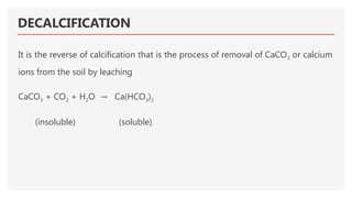 Lec.10. SPECIFIC SOIL FORMING PROCESSES.pptx