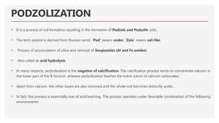 Lec.10. SPECIFIC SOIL FORMING PROCESSES.pptx