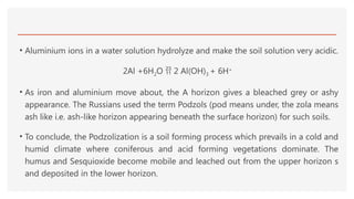Lec.10. SPECIFIC SOIL FORMING PROCESSES.pptx