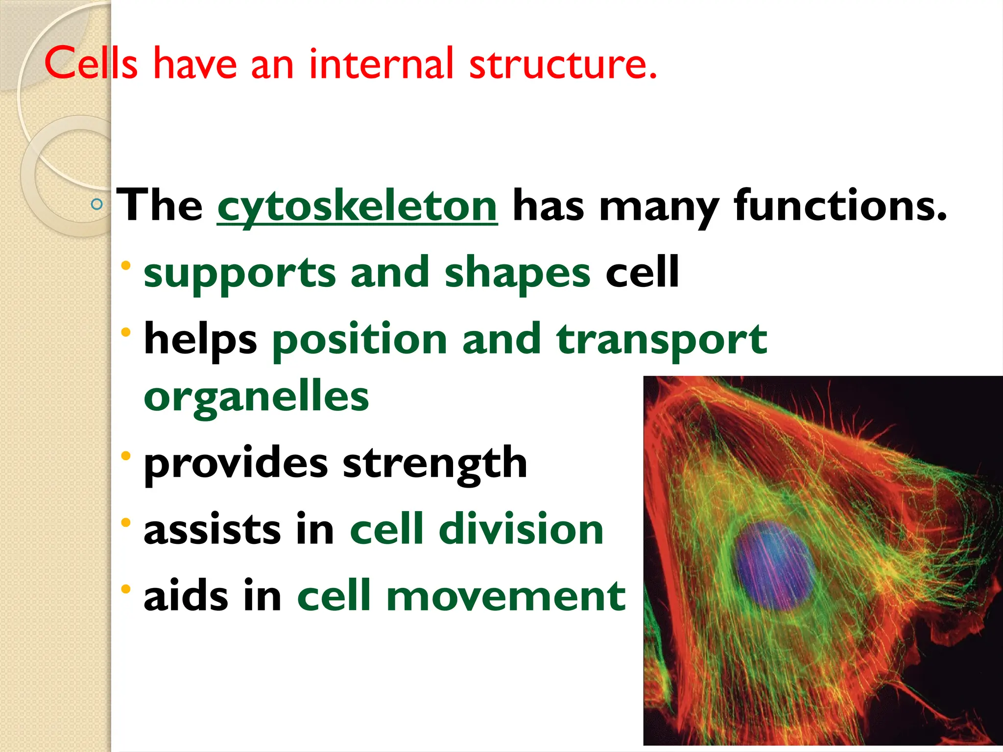 lec.1 cell structure.pptx افضل مقدمق علمزالخلية | PPTX
