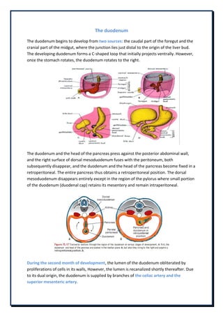 Lec. 2.pdf clinical embryology Lecture note | PDF