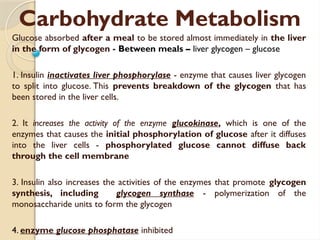 LEC.11. Endocrine functions of the Pancreas.pptx