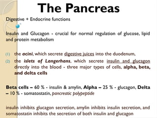 LEC.11. Endocrine functions of the Pancreas.pptx