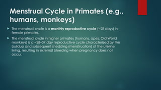 Comprehensive Overview of the Menstrual Cycle and Oogenesis in Primates ...