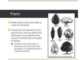 LEC- 3 Landscape Design Principles.ppt