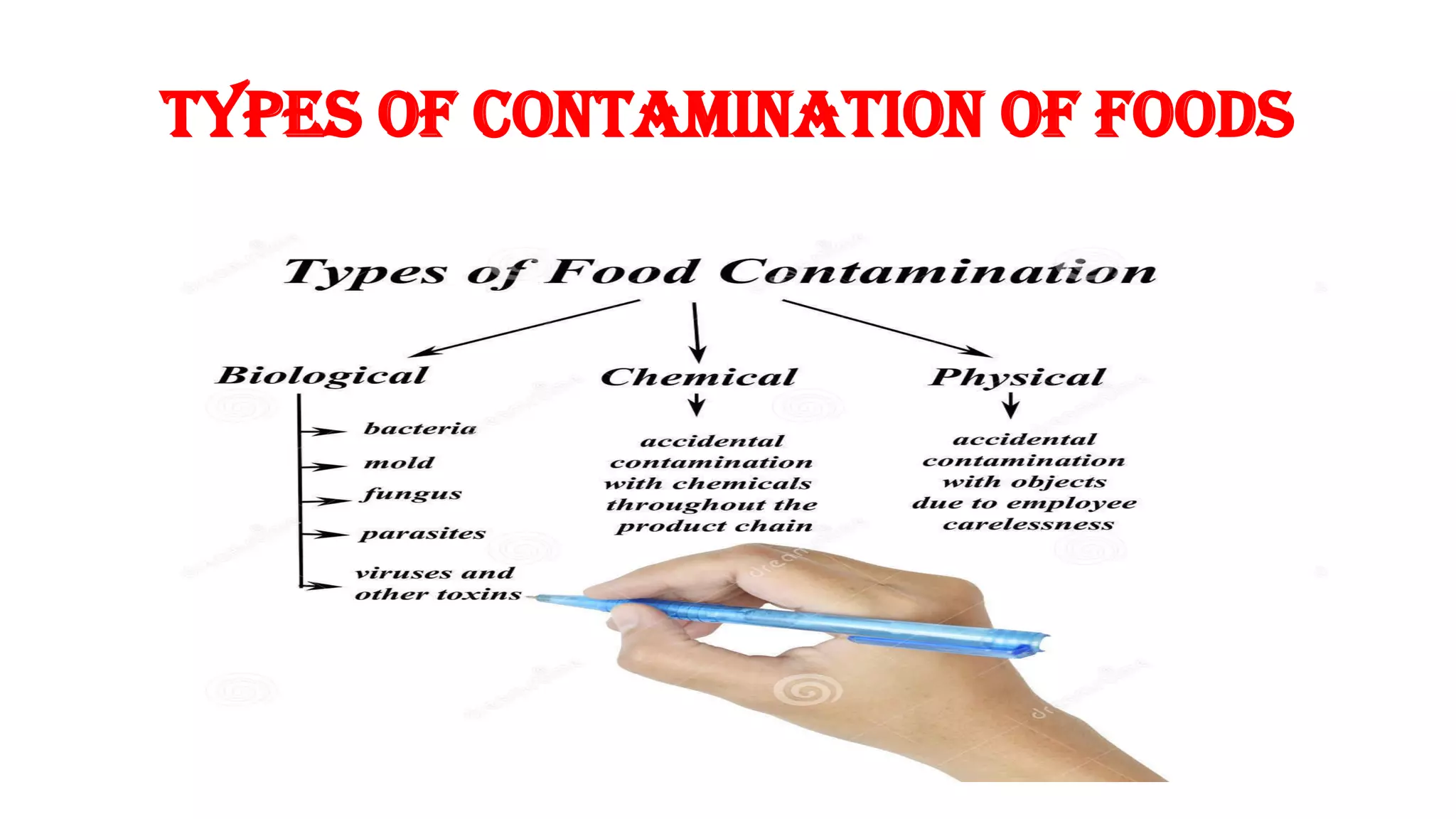 Contamination of Foods | PDF