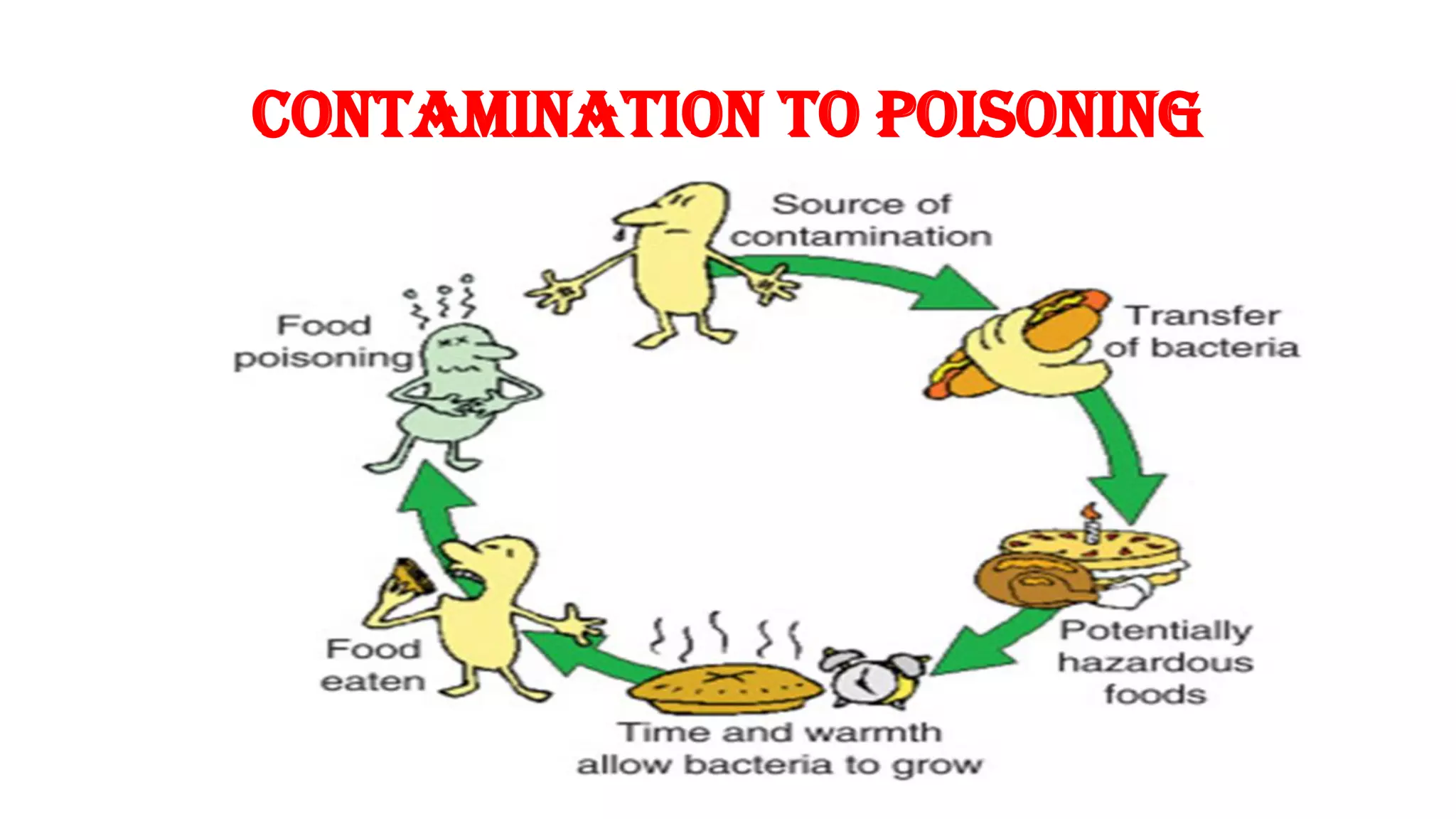 Contamination of Foods | PDF
