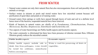 Contamination of Foods | PDF