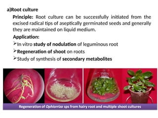 Lec-4 Techniques of Invitro culture.pptx