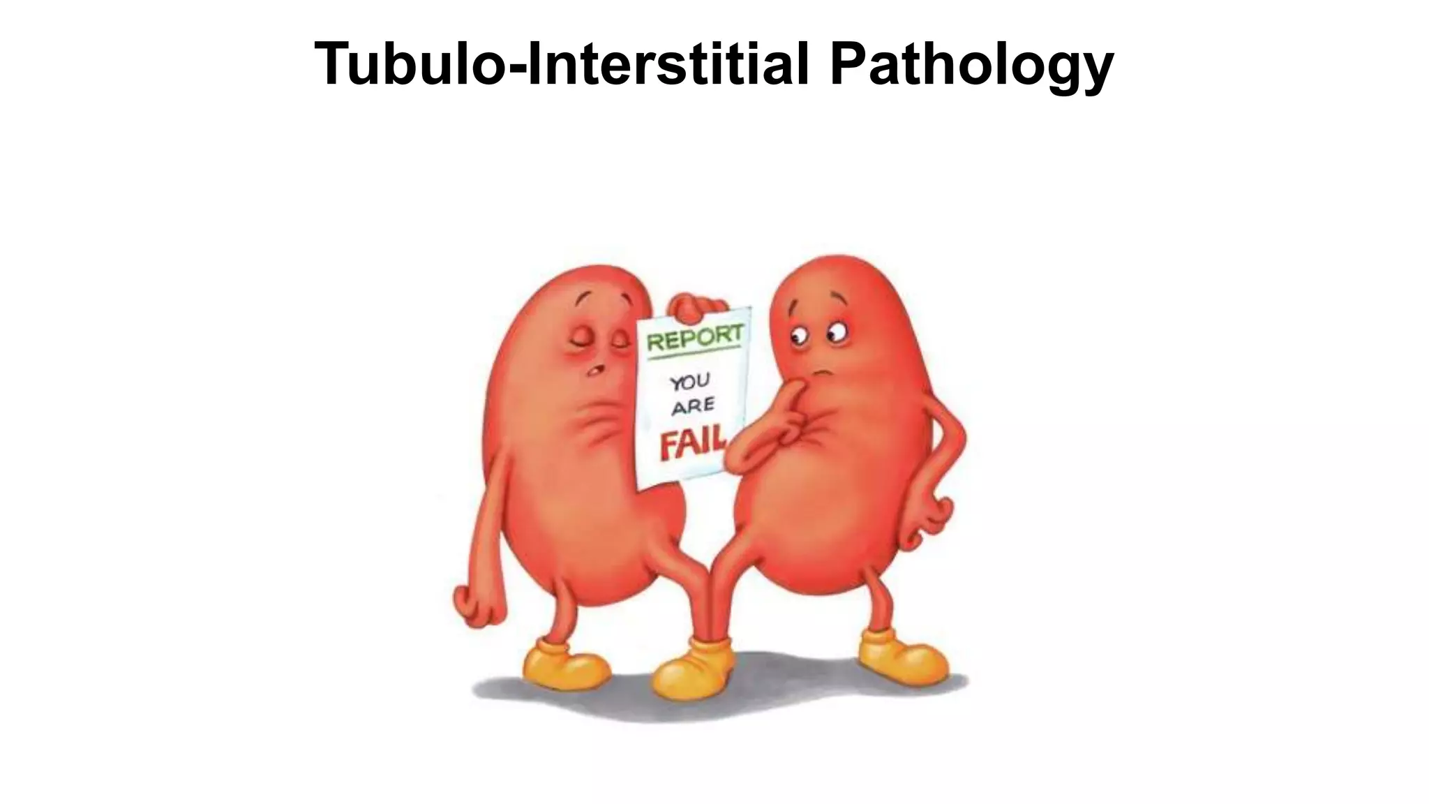 tubulointerstitial diseases- | PPTX