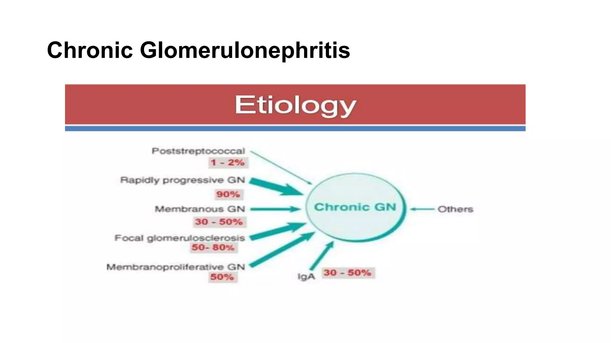 tubulointerstitial diseases- | PPTX