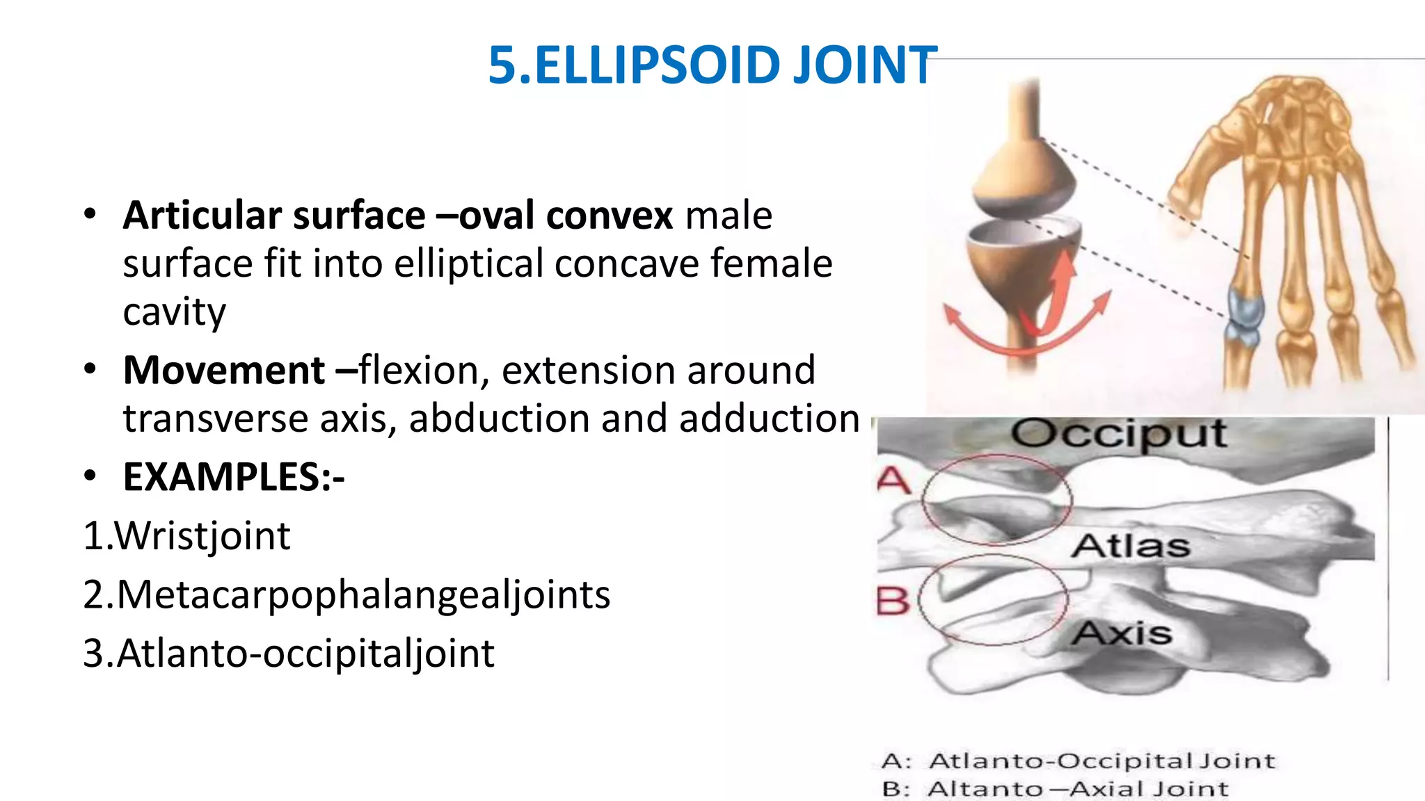 Lec-5-Sketetal System- Joints.pdf
