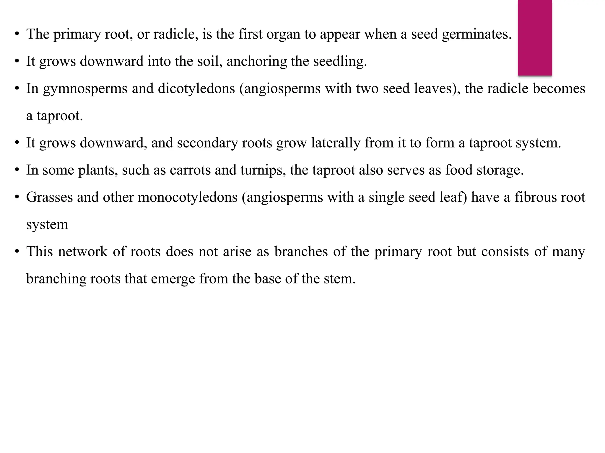 Lec-5 Root morphology.pptx