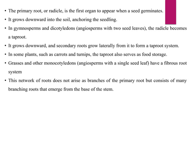 Lec-5 Root morphology.pptx | Free Download