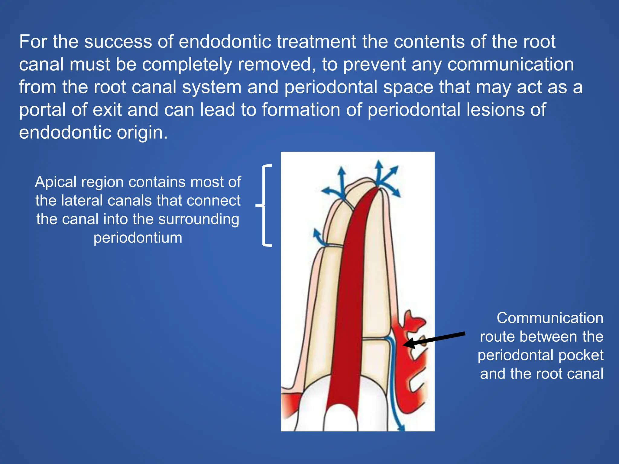 Lec-6-2021.pdf. ,,,,,dentistry endodontic. | PDF