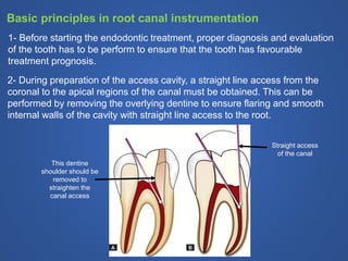 Lec-6-2021.pdf. ,,,,,dentistry endodontic. | PDF