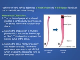 Lec-6-2021.pdf. ,,,,,dentistry endodontic. | PDF