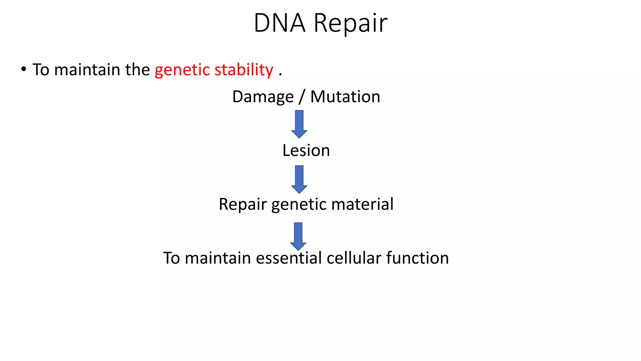 DNA Repair system | PPTX