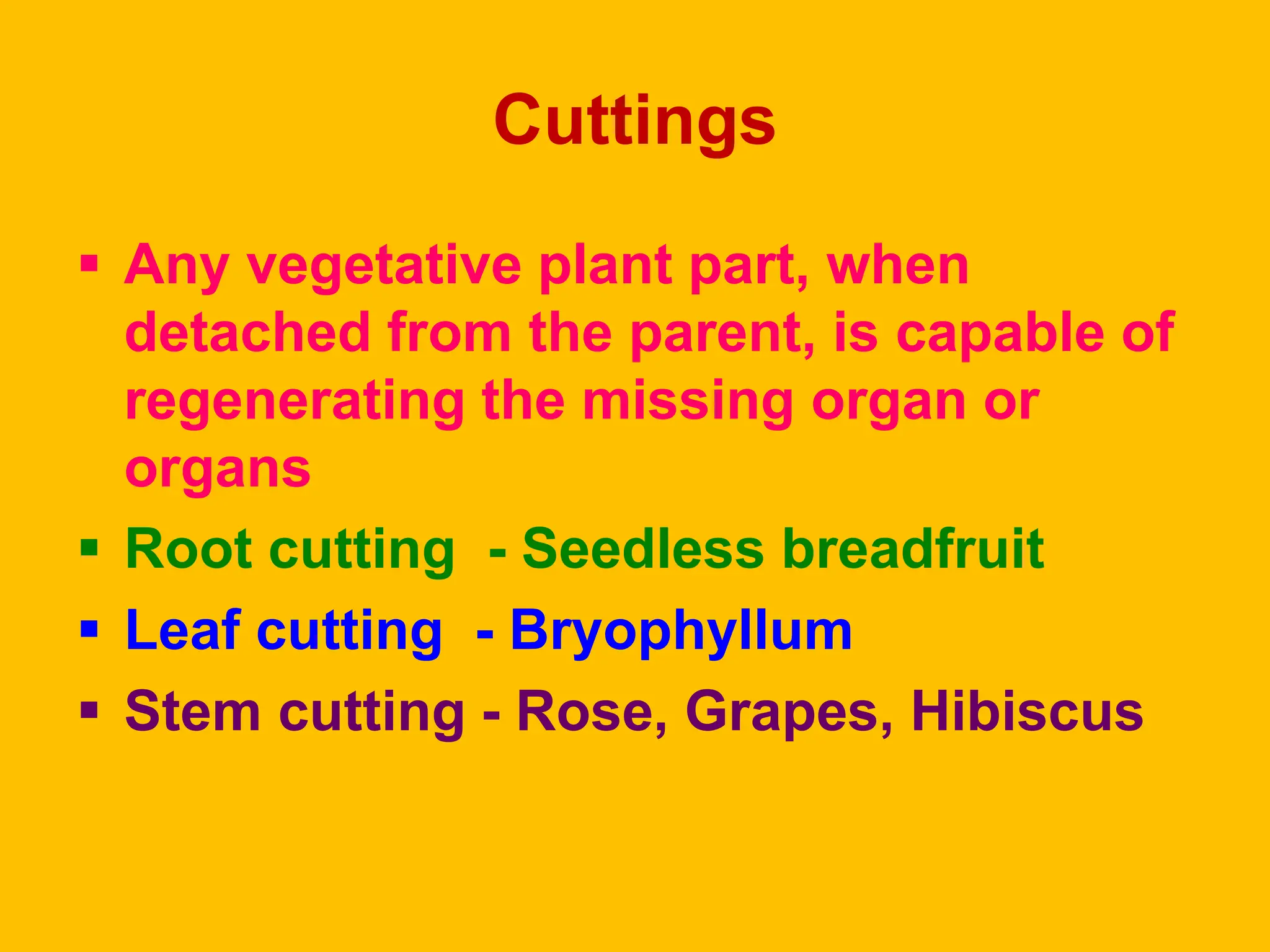 Lec- 7 & 8 Grafting, budding.pptx horticulture | PPT