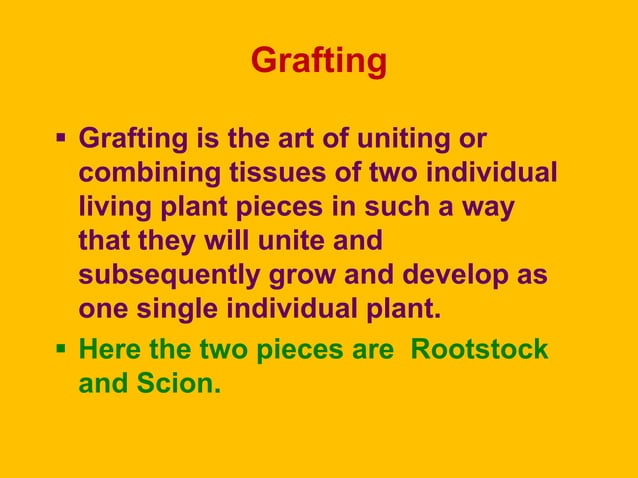 Lec- 7 & 8 Grafting, budding.pptx horticulture | PPT