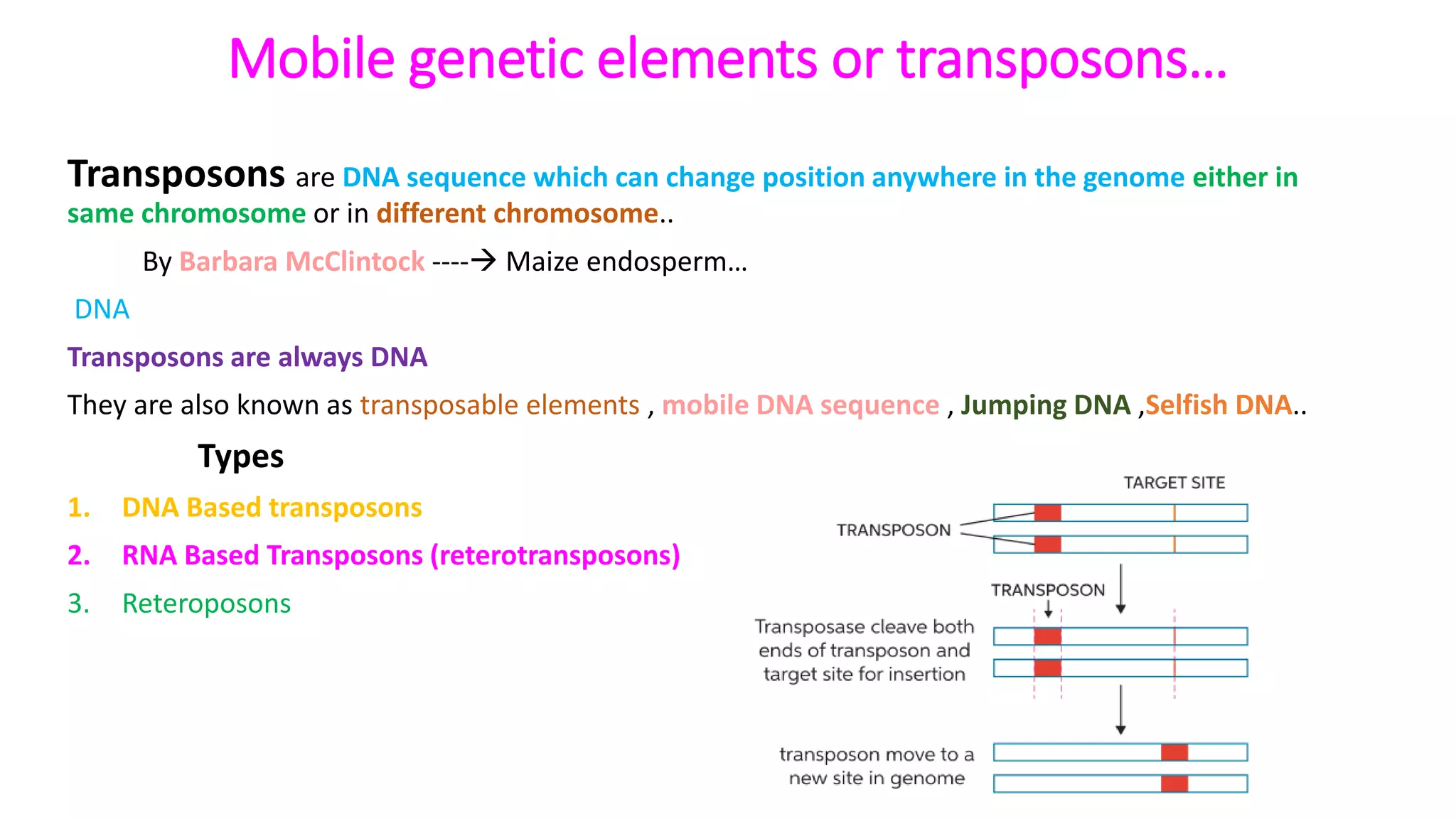 Transposons | PPT