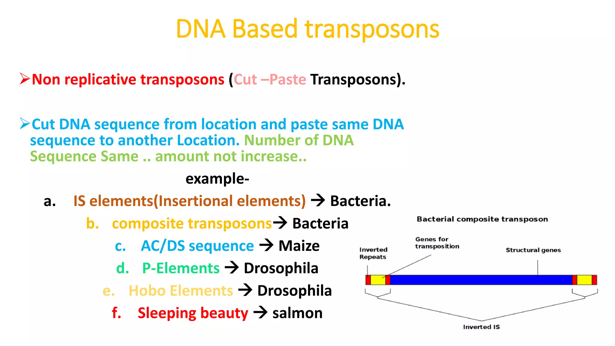 Transposons | PPT