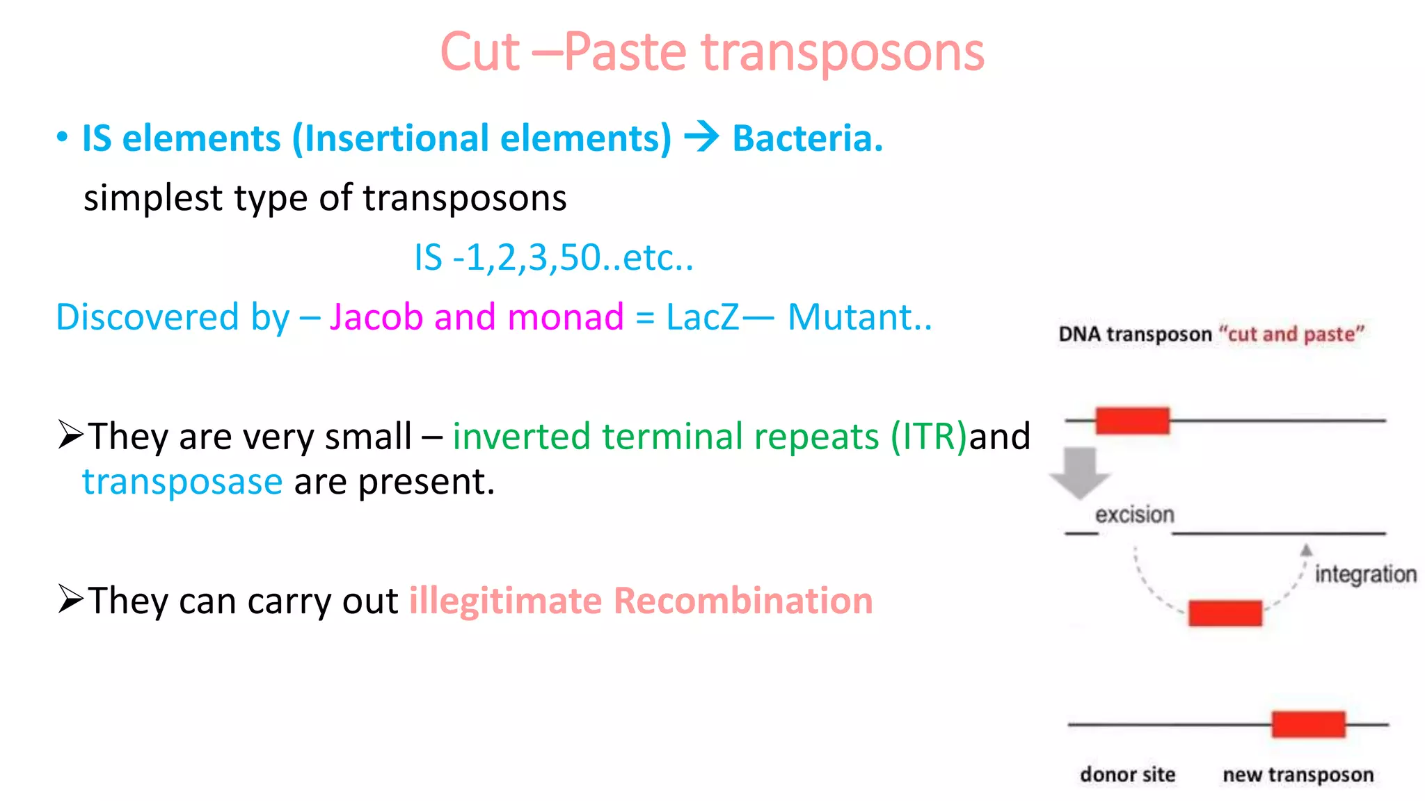 Transposons | PPT