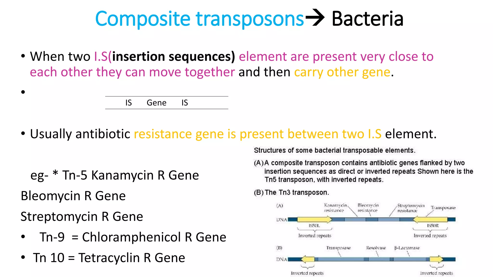Transposons | PPT